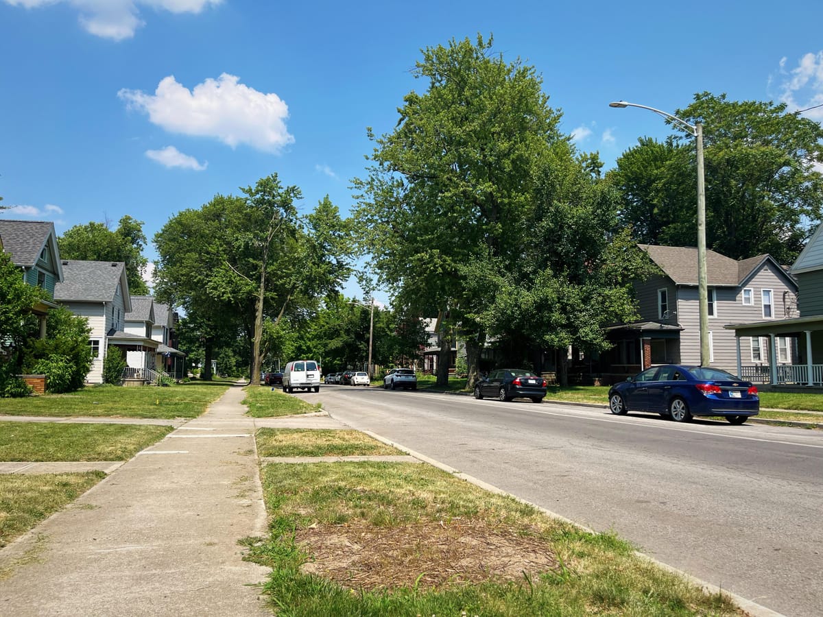 Let's talk about street trees and Fort Wayne's tree canopy
